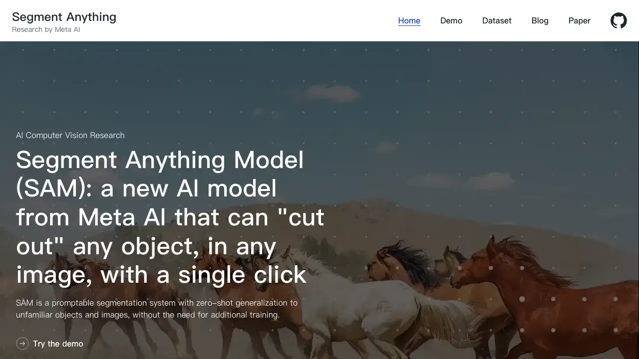 Segment Anything (SAM)